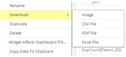 Downloading Widgets to PDF